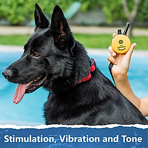 Mini Educator ET-302-1/2 Mile Rechargeable Dog Trainer Ecollar with Remote for Small, Medium, and Large Dogs by E-Collar Technologies - Electric, Vibration, Tone, and Stimulation Collar