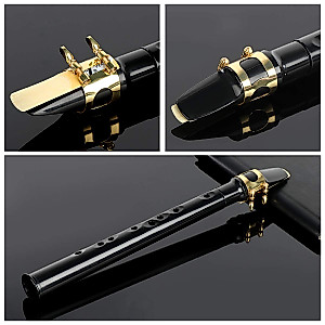 Pocket Saxophone Kit Mini Sax Portable Woodwind Instrument with Lid, Mouthpiece, Carrying Bag, Fingering Charts