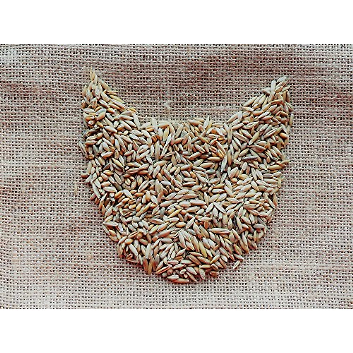 Crafted-Brand Simple Cat Grass Blend | 100% US Organic + 4 Popular Seeds | Wheat, Barley, Oats, and Rye Seed Mix Combo | Show Your Love with a Healthy Pet Treat and Snack (6 Ounce (~4800 Seeds))