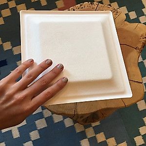 Susty Party 8-Inch Compostable Square Plates (50 Plates), Sugarcane Heavy Duty Disposable Biodegradable Plate, White