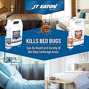 JT Eaton Kills Bedbugs 204-O1G Bed Bug Killer Ultra, Non-Staining Oil Based Insect Spray for Indoors (1 gal)