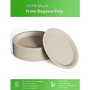 Teoox 100% Compostable Oval Plates Biodegradable Plates, BPI-Certified Eco Paper Plates, Bagasse Platter Plates, Recyclable Paper Plates, Sugarcane Plates (12.5 Inch - 40 Count)