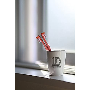 B. Designs One Direction Singing Battery Powered Tooth Brush (Live While we’re Young)/Limited Edition