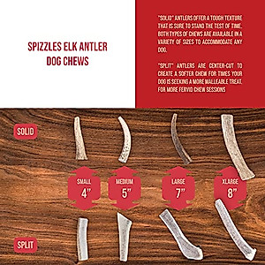 Spizzles Elk Antler Dog Chew Solid, Long Lasting Bone for Small Breed Aggressive Chewers, All Natural, No Odor, No Mess, No Preservatives, USA, 4 inch
