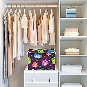 innewgogo Owls Storage Bins with Lids for Organizing Storage Baskets with Handles Oxford Cloth Storage Cube Box for Bed Room