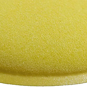 Polyte Foam Detailing Applicator Pad (Yellow, 8 Pack, 4.3 in)