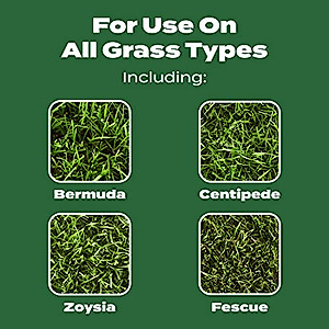 Scotts Turf Builder Lawn Food - Fertilizer for All Grass Types, 5,000 sq. ft., 12.5 lbs.
