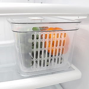 Home Basics Fruit and Vegetable Fridge Storage Container Large Produce Saver with Lid and Removable Colander