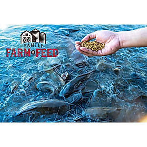 FAMILY FARM AND FEED | Premium Floating Fish Food | Pond and Lake | Pellets | 2 Pounds