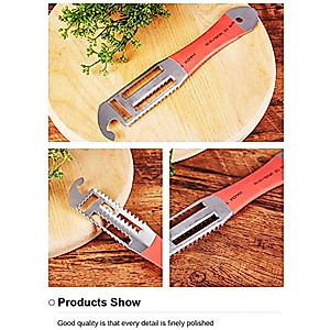 Fish Scaler Remover, Fish Scraper Fast Cleaning Fish Skin, Fish Scale Remover with Stainless Steel Sawtooth Easily Remove Fish Scales-Cleaning Brush Kitchen Descaler Tool