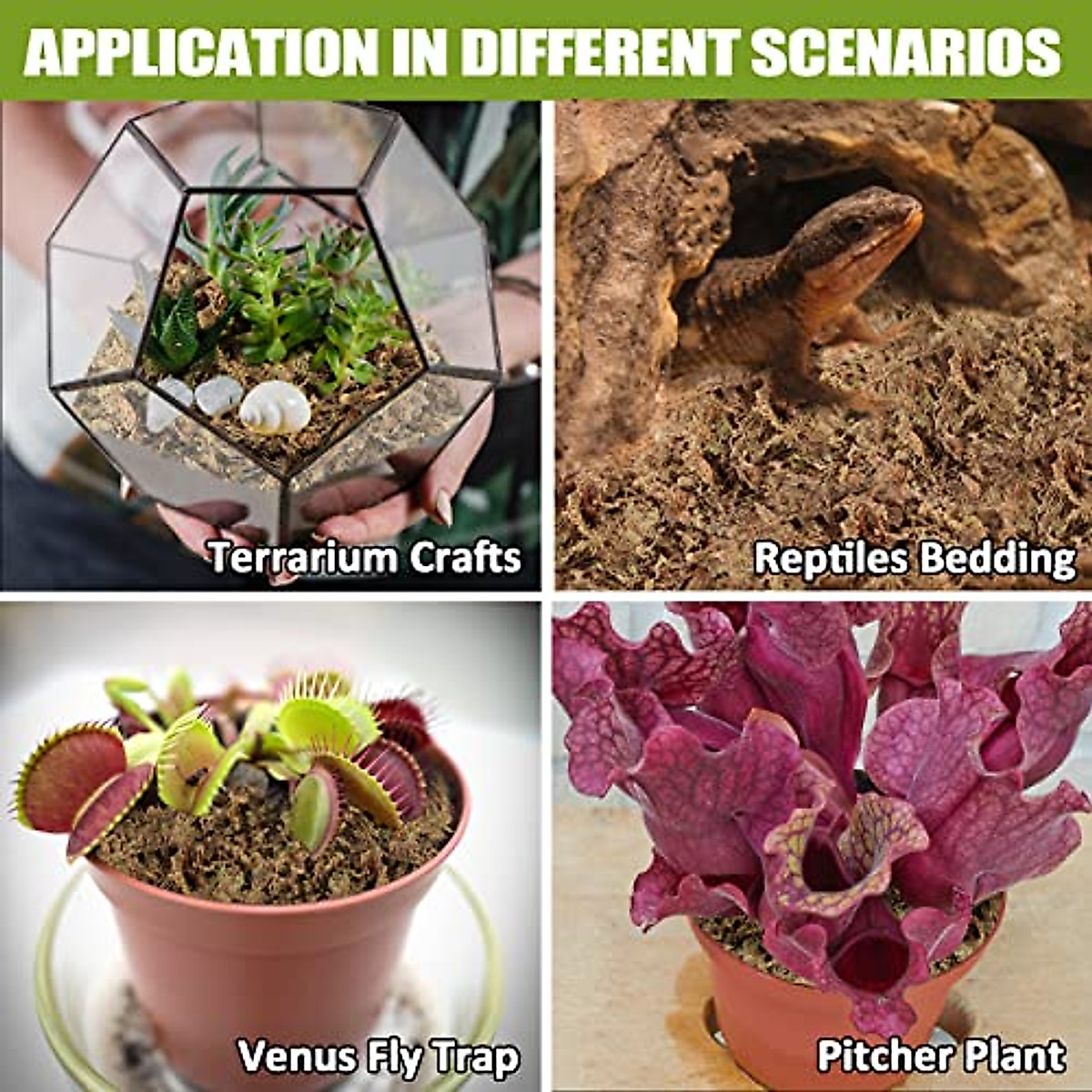 10 Oz Natural Sphagnum Moss for Plants- 22QT Dried Orchid Moss for Repotting Moisture Holding Plant Moss for Potted Plants Indoor Plant Growing Medium for Carnivorous Plants Succulent