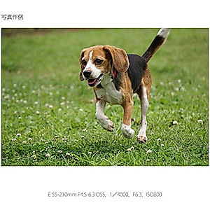 Sony E 55-210mm F4.5-6.3 Lens for Sony E-Mount Cameras (Black)