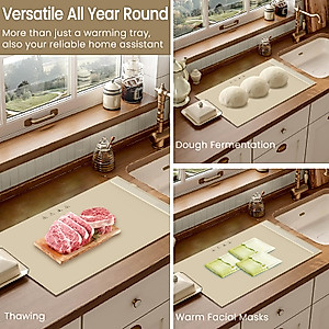 Beauty Star Food Warming Mat, Portable Food Warmer for Kitchen Countertop, Electric Heating Roll Up Tray for Buffet, Dish Heater Pads for Parties, Buffet, Get-Togethers, Flameless and Safer