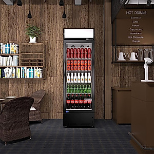 Dvasovio 23" W Refrigerator with Glass Doors, Commercial Upright Refrigerator Display Cooler with LED Lighting, Adjustable Shelves for Beverages, Beer, and Drinks