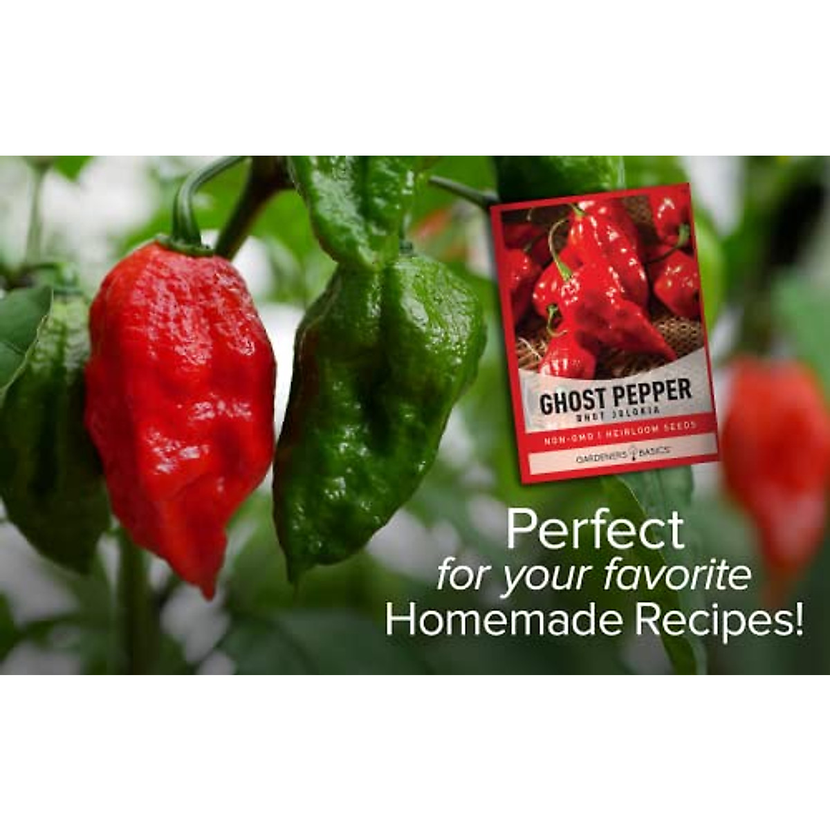 Ghost Pepper Seeds for Planting Spicy Hot - Heirloom Non-GMO Hot Pepper Seeds for Home Garden Vegetables Makes a Great Plant Gift for Gardening by Gardeners Basics