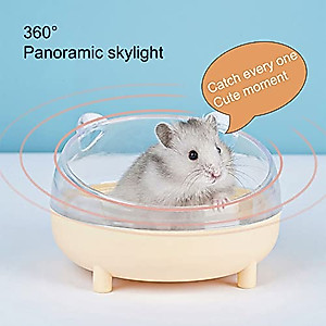 leasote Hamster Sand Bath Container, Hamster Sand Bath Box, Transparent Big Space, Avoid Kicking Sand Out, Easy to Clean, for Dwarf Hamster, Syrian Hamster Dark Green