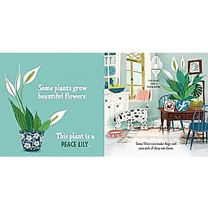 My First Book of Houseplants: Helping Babies and Toddlers Connect to the Natural World from the Intimacy of Home. Promotes a Love for Plants and the Environment. (Terra Babies at Home)
