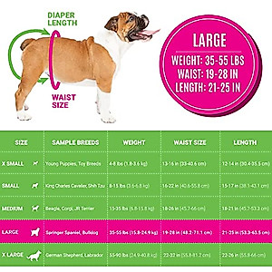 Disposable Dog Female Diapers | 20 Premium Quality Adjustable Pet Wraps with Moisture Control & Wetness Indicator | 20 Count Large Size