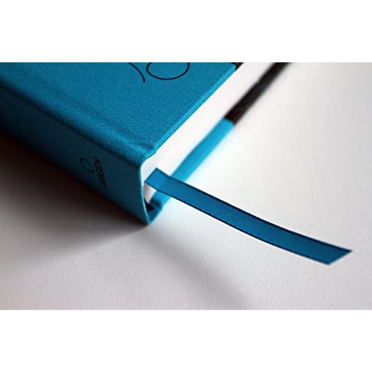 Biblia RVR 1960 letra grande, tamaño manual, tapa dura de tela León aguamarina / Spanish Bible RVR 1960 Handy Size Large Print Hardcover Cloth Lion Aquamari