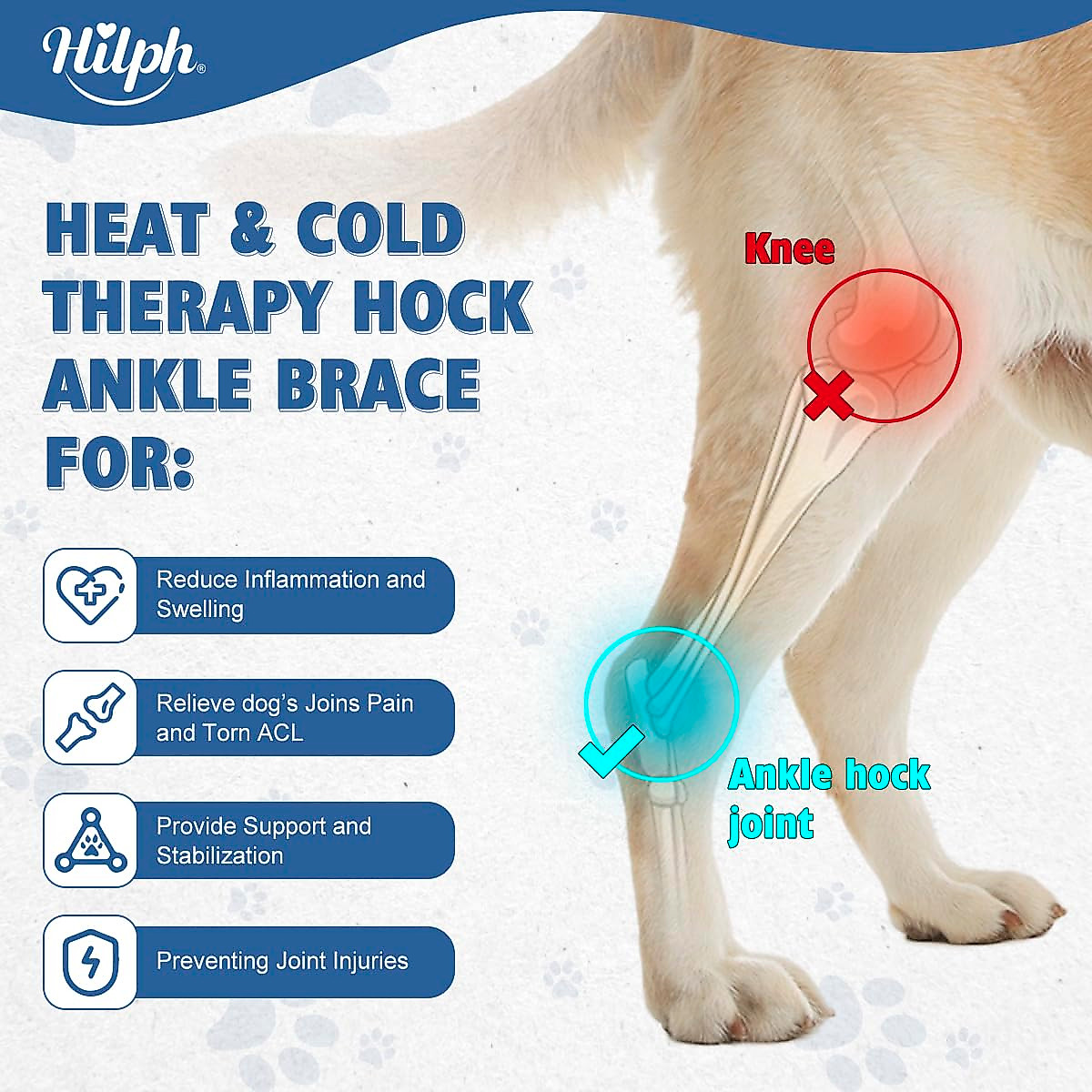 Hilph Rear Leg Hock Brace with Metal Spring Strips and 2 Ice Packs, Dog Leg Brace Hot Cold Compression for Rear Leg, Hock Ankle Support, Injuires, Joint Pain, Sprain and Post Surgery Recovery (M)