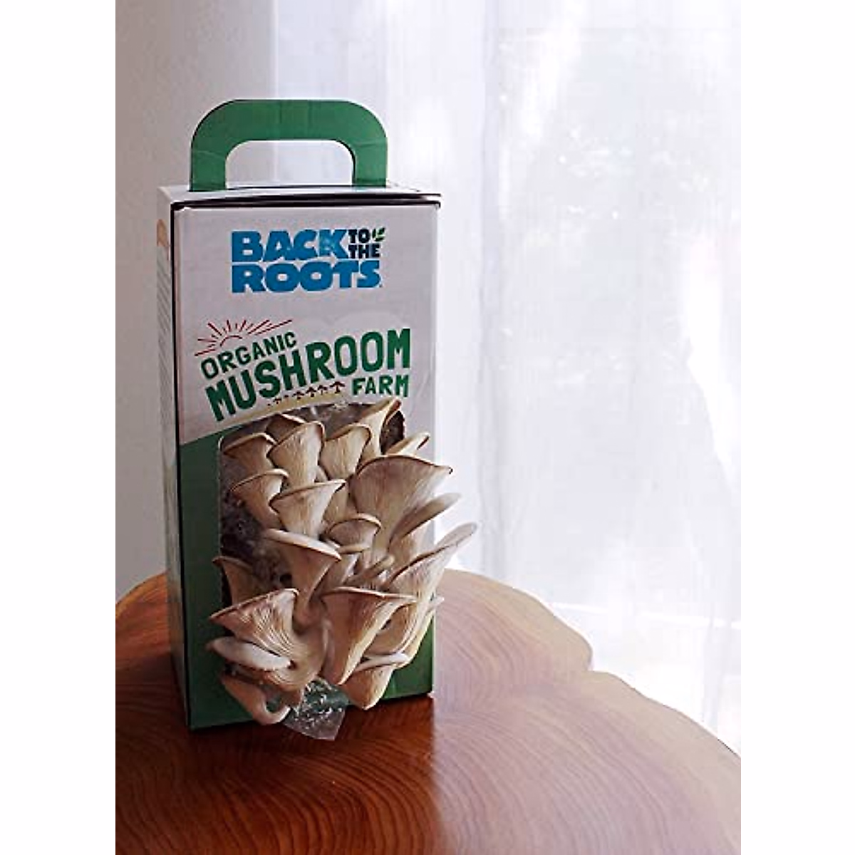 Back to the Roots Organic Oyster Mushroom Grow Kit, Harvest Gourmet Mushrooms In 10 Days
