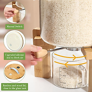 Zhehao 2 Pcs Glass Rice Dispenser 5L Flour Cereal Rice Storage Container Creative Rice Holder with Wooden Stand, Airtight Lid and Measuring Cup for Pantry Sugar Coffee Beans Kitchen Food Organization