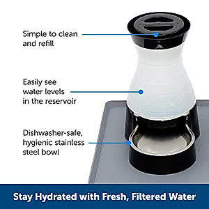 PetSafe Healthy Pet Food & Water Station - Dog & Cat Food & Water Dispenser - Stainless Steel Bowl Resists Corrosion & Stands Up to Frequent Use - Small, 2 lb Kibble Capacity - Easy to Fill & Clean