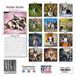 2023 2024 Boston Terrier Calendar - Dog Breed Monthly Wall Calendar - 12 x 24 Open - Thick No-Bleed Paper - Giftable - Academic Teacher's Planner Calendar Organizing & Planning - Made in USA