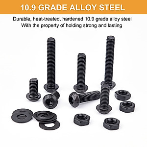 M6 and 1/4-20 Black Bolt Assortment