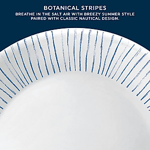 Corelle 6-Piece 10.25" Vitrelle Glass Dinner Plates, Lightweight, Chip/Scratch Resistant - Botanical Stripes