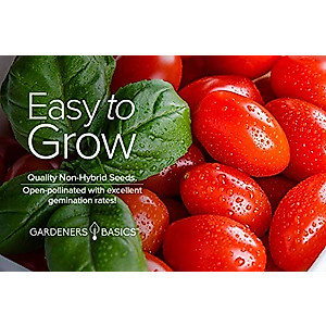 Rio Grande Tomato Seeds for Planting Heirloom Non-GMO Seeds for Home Garden Vegetables Makes a Great Gift for Gardening by Gardeners Basics