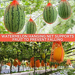 MAQIHAN 40pcs Melon Nets Melon Hammock - Watermelon Nets Melon Holder Watermelon Support Melon Cradle Watermelon Bags Melon Hammock for Trellis Melon Cradle for Garden(17.7inch,Red