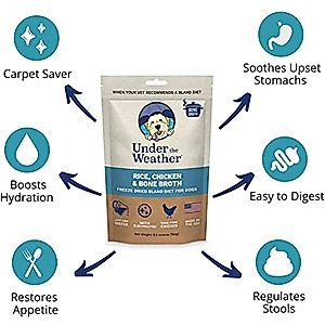 Under the Weather Bland Diet for Dogs | Easy to Digest for Sick Dogs |Always Be Ready| Contains Electrolytes - All Natural Freeze Dried 100% Human Grade Meats| 2 Pack- Chicken, Rice & Bone Broth - 6oz
