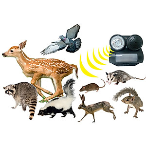 Bird B Gone MMSS-GRD/D Sonic Shield Sound and Light Repellent