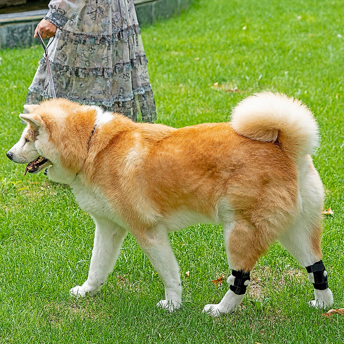 PaaWings 2024 Dog Leg Braces Dog Knee Brace for Back Leg- Dog Hip Brace for Torn Acl and Joint Relief -Dog Leg Sleeve - Dog Back Leg Support and Joint Supplement Black (XL)