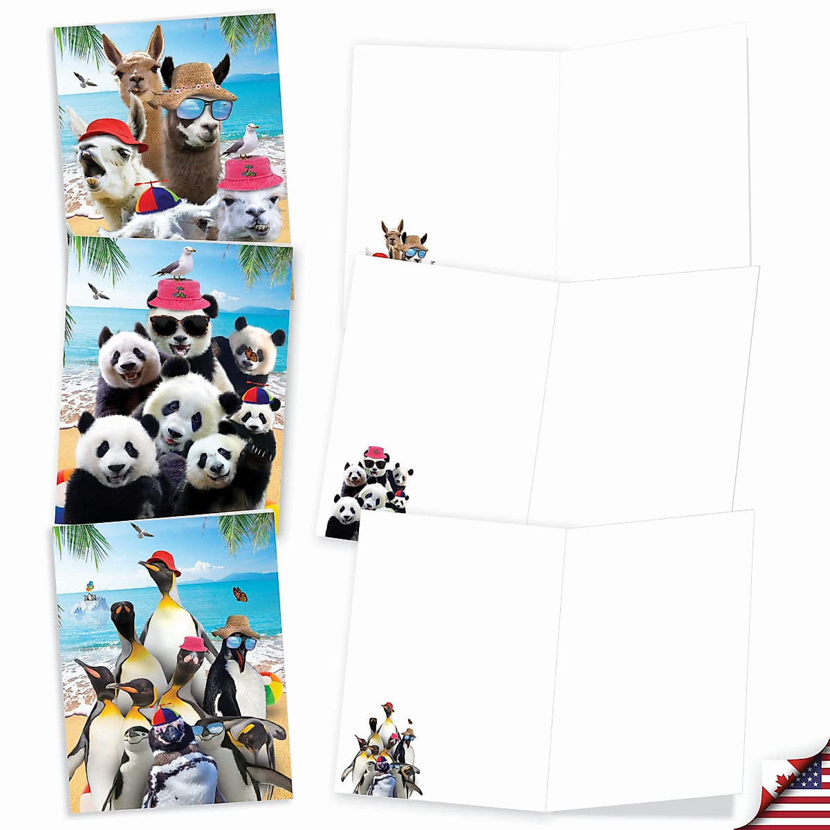 The Best Card Company - 20 Assorted Blank Note Cards Boxed Set 4 x 5.12 Inch with Envelopes (10 Designs, 2 Each) Wildlife Photo Ops AM10209OCB-B2x10