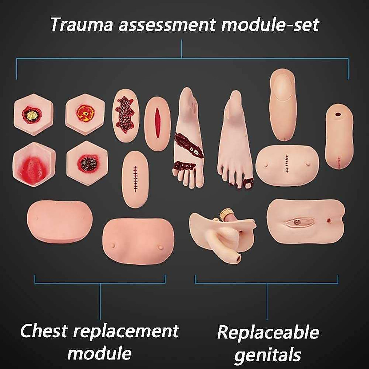 WFZY Training Manikin Model Mannequin Patient Education Teaching Model 170 cm PVC Anatomical Mannequin, Body Care Simulator Model for Nursing Medical Training Teaching