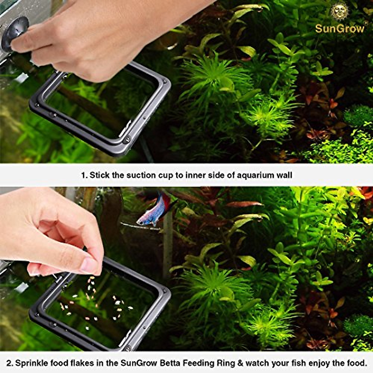 SunGrow Fish Food Feeding Ring, Stop Water Turbulence from Washing Food & Floating Plants into Filter, Suitable for Flakes & Floating Fish Pellets, for Goldfish, Guppy, Neon Tetra, Betta