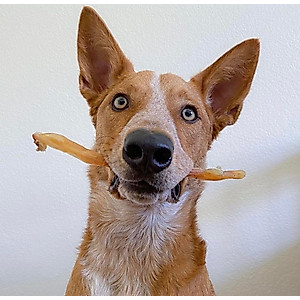 Green Butterfly Brands Beef Tendons for Dogs Made in USA. 6-10 Inch Grass Fed Farm-Raised American Beef Dog Treats. All Natural Dog Dental Chews. Grain Free Odor-Free Beef Dog Chews (8 OZ)