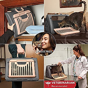 SPORT PET Designs Foldable Travel Cat Carrier with A Bed - Front Door Plastic Collapsible Carrier