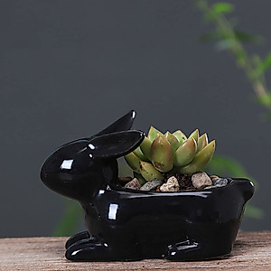 YONGYAN Rabbit Flower Pot Statue Decoration Ceramics Garden Planters Containers Pot Bookshelf Office Animal Desktop Decor (Black)