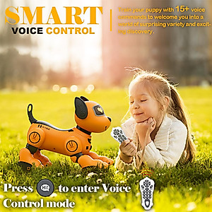 VATOS Robot Dog Toy for Kids, Voice & 2.4GHz Remote Control Robot Pet with Interactive Touch Sensors, Over 20+ Responses, Program Mode, Robotic Puppy Toy for Kids Boys & Girls