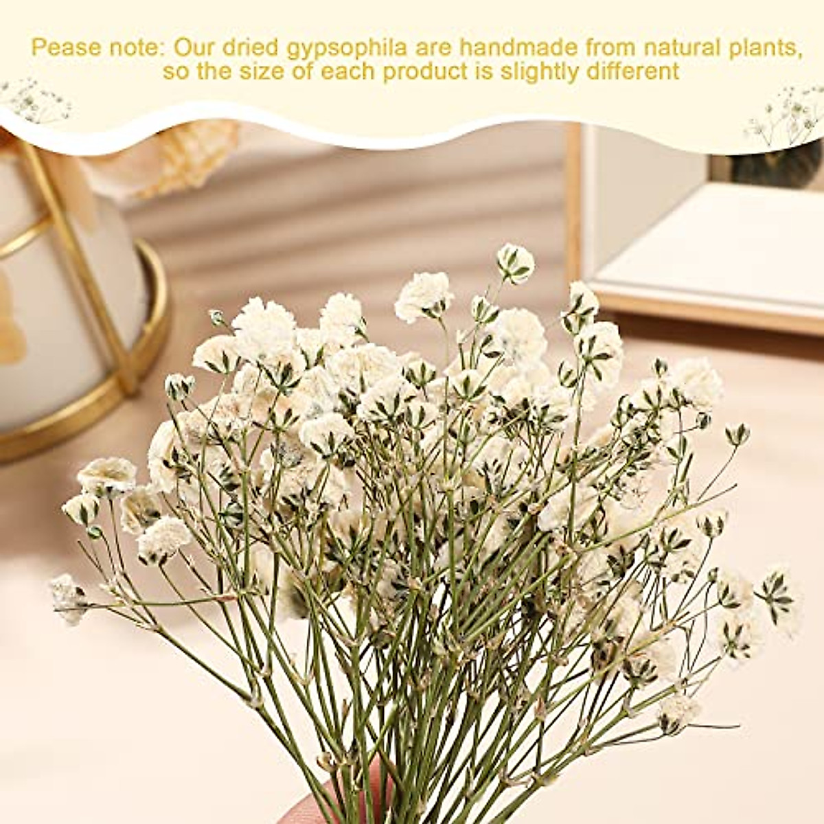 Dried Babys Breath Flowers Bouquet Ivory White Babys Breath Real Flowers Natural Gypsophila Branches Dry Pressed Gypsophila for Wedding Resin Art Craft DIY Card Making Home Party Decor (100 Pcs)
