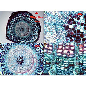 Dino-Lite USB Eyepiece Camera AM7025X – 5MP, Use on Traditional Microscope