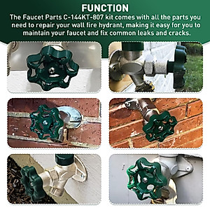 Aulpq C-144KT-807 Outdoor Faucet Repair Kit, for Prier C-144/244 Series Wall Hydrant