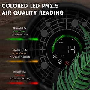 Airthereal Bundle | AGH550 True HEPA Air Purifier and 1-Pack Spare Replacement Filter, Glory Days