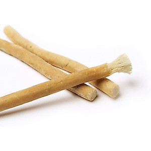 Miswak Sticks for Teeth Natural Herbal Toothbrush with Holder by SEWAK (10 Tooth Stick + 1 Holder)