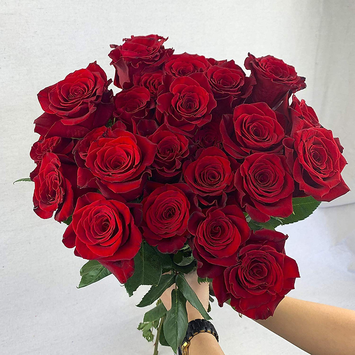 Fresh Cut 24 Red Roses - Fresh from the Farm Red Rose Bouquet – Hand-Selected Long-Lasting, Gift and Home Decor Perfect Fresh Flowers |20" Long Stems No Vase-2 Dozen | Flowers Gift