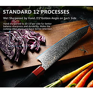 SANNKA Chef Knife Kiritsuke Knife 8.5 inch Damascus Knife Kitchen Knife Japanese Knife VG10 High Carbon Steel Knife 67-Layer Steel Japanese Kitchen Knife Cooking Knife Sharp Knife with Knife Sheath