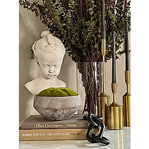 MD MACOMINE DESIGN Moss Bowl | Artificial | Hand-Painted Cement Bowl | Centerpiece | Home Décor | 7 ¾" Diameter